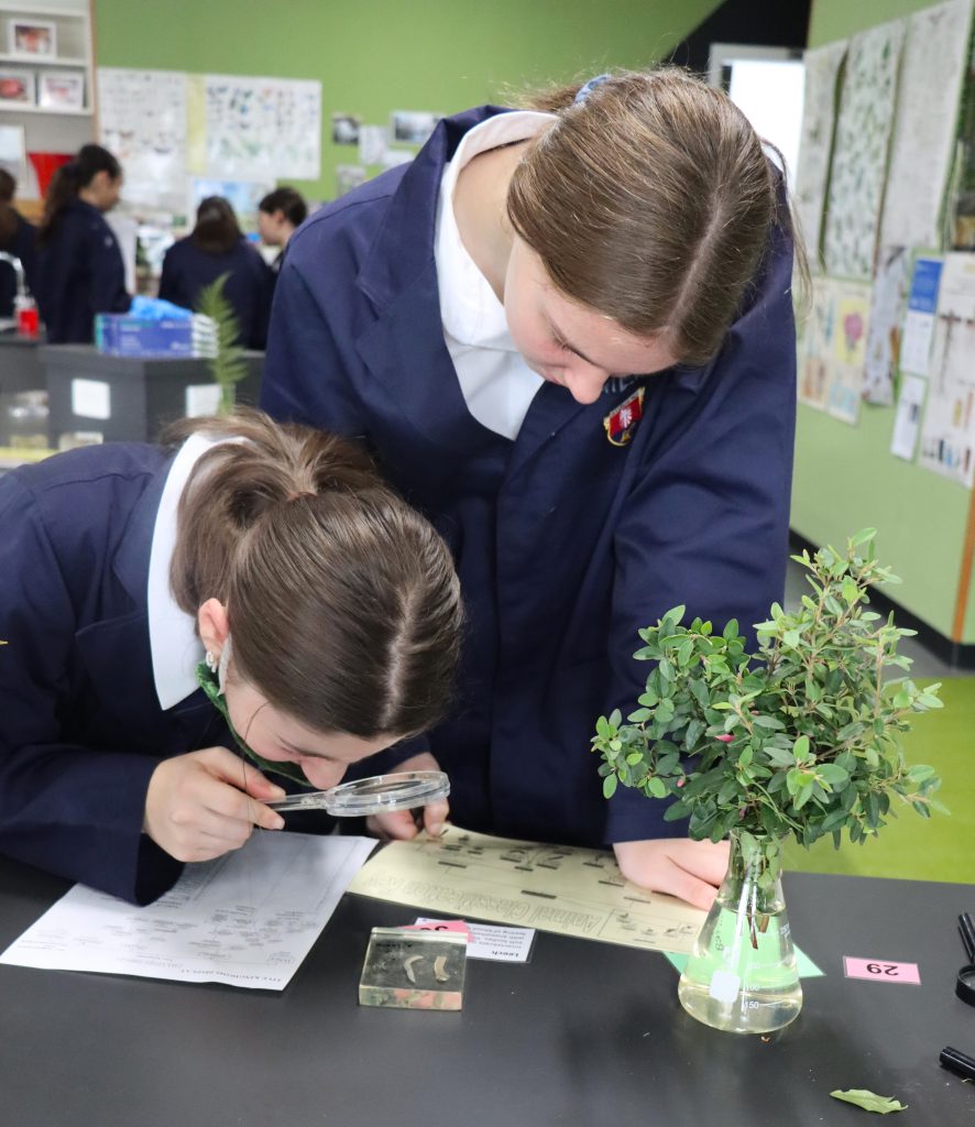 Year 7 Core Subjects – Avila College