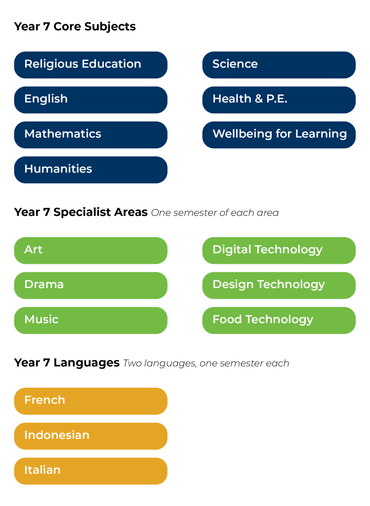 Year 7 Overview - Avila College